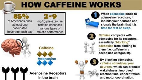How to Sleep After Drinking Coffee: Basic Info & Tips (Winter 2024)