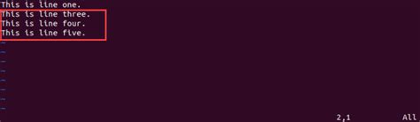 How To Copy Cut And Paste In Vim