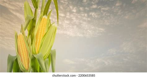 Animated Maize Plant Protecting Metal Shield Ai Generated Image