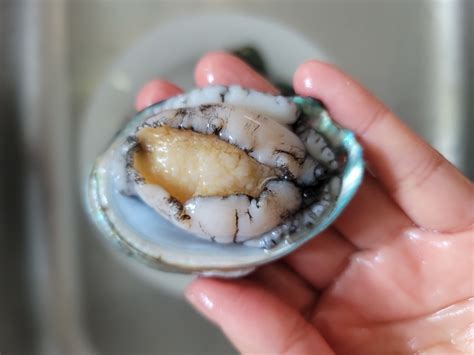 전복죽 끓이는 법 전복내장 넣은 전복죽 전복내장죽