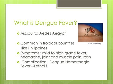 Ppt Dengue Fever In The Philippines Powerpoint Presentation Free