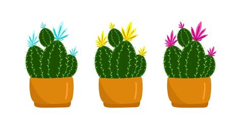 Establecer Flores De Cactus Verde Espinoso Con Flores Amarillas En Una
