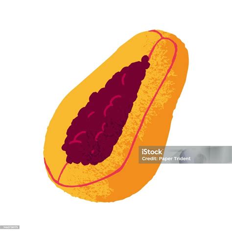 파파야 이국적인 과일 Papaw 반을 자르고 씨앗과 신선한 익은 펄프가있는 단면 열대 여름 건강 비타민 식품 흰색 배경에 격리된 평면 벡터 그림 건강한 식생활에 대한 스톡
