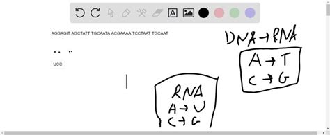 solved write the consensus sequence for the following set of nudeotide