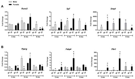 Intrinsic Sex Linked Variations In Osteogenic And Adipogenic