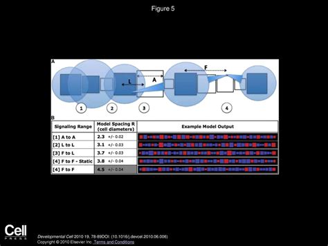 Volume 19 Issue 1 Pages July 2010 Ppt Download