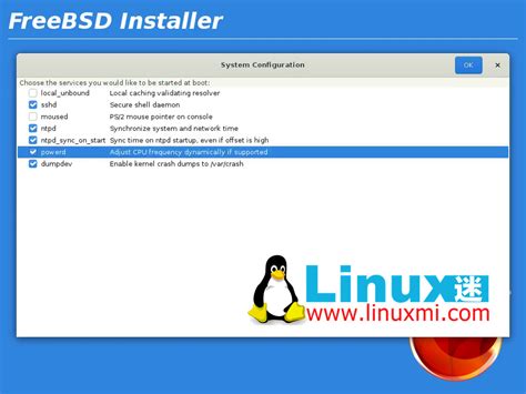 Freebsd 迎来大变革：全新图形化安装程序即将上线 Linux迷
