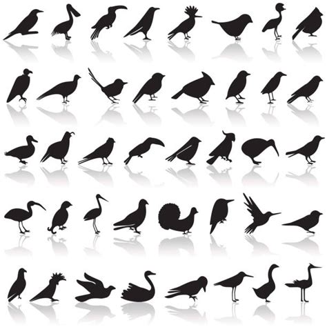 Puffin Bird Cartoons Illustrations Royalty Free Vector Graphics And Clip