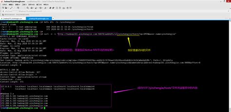 使用hadoop Webhdfs访问hdfs Jasonyin2020 博客园