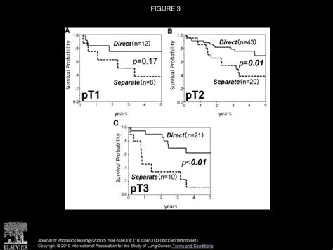 Prognostic Impact Of Node Involvement Pattern In Pulmonary Pn1 Squamous