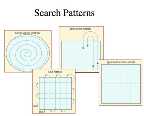 The Search Mrs Wohlferts Forensic Science