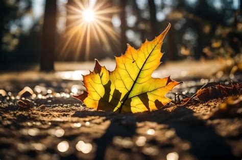 Premium Ai Image A Leaf That Is On A Ground With The Sun Shining