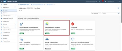 Deploy Oneagent On Sap Business Technology Platform For Application