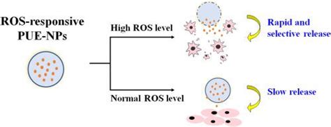 Ros 触发葛根素从硼酸酯修饰的纳米粒子中释放药物以减少 Huvec 的氧化损伤journal Of Drug Delivery