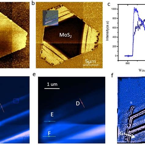 Nanoscale Imaging Of The Multi Junction Mos2 Ws2 Lateral Download