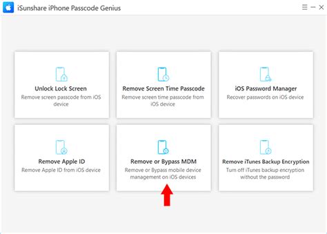 Iphone Passcode Genius Guide—remove Various Locks On Iphoneipadipod