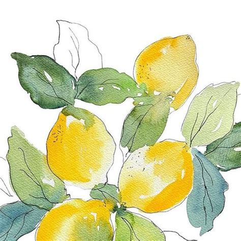 Aquarelle에 있는 Manon Loubiere님의 핀 레몬 수채화 과일