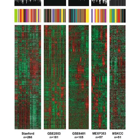 Unsupervised Hierarchical Clustering Of Five Sarcoma Gene Expression Download Scientific