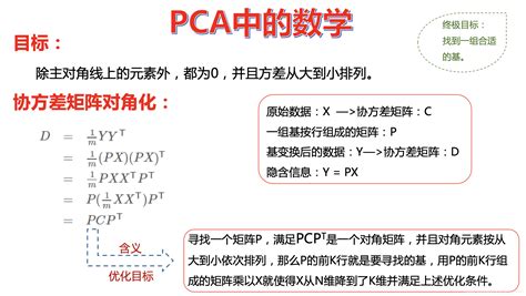 基础算法 主成分分析pca聚类 主成分分析怎么聚30个类 csdn博客