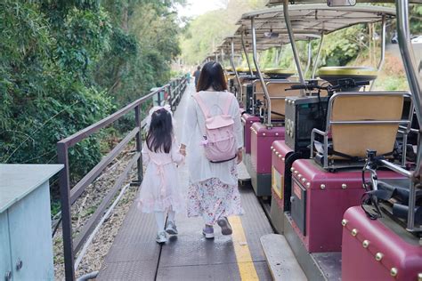 苗栗三義行程景點推薦搭乘舊山線鐵道自行車遊三義 絕美風景鯉魚潭6號隧道 C班路線互動式情境海底隧道 東蛙池塘 Dong Wa