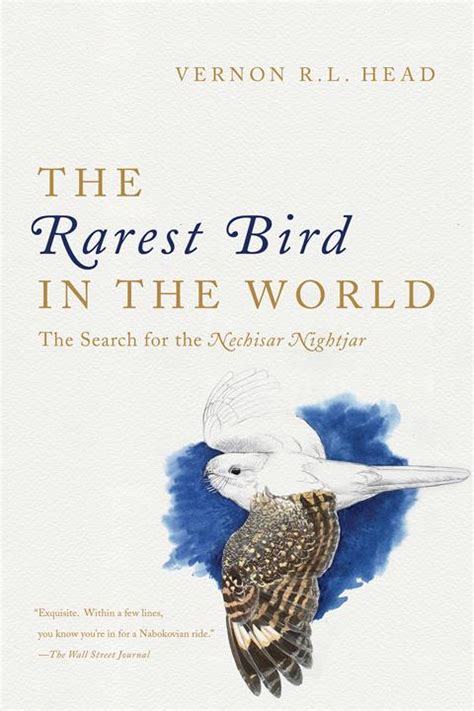 The Rarest Bird In The World Summary Pdf Vernon R L Head