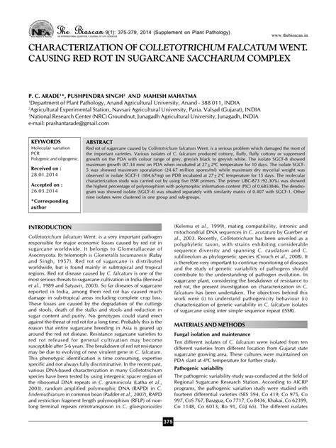 Pdf Characterization Of Colletotrichum Falcatum Went Causing Red Rot In Sugarcane Saccharum