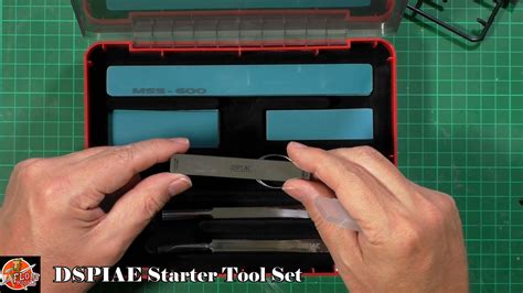 Dspiae Starter Set Review — Flory Models