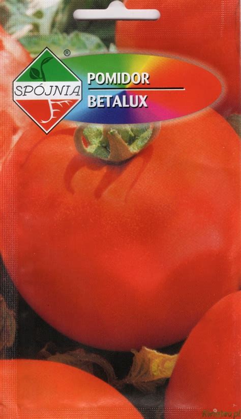 POMIDOR GRUNTOWY Betalux karłowy wczesny nasiona KWIATEO pl