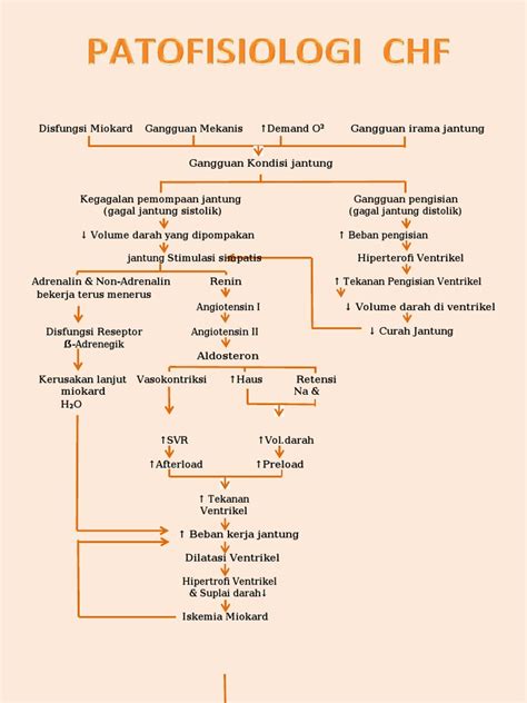 Patofisiologi Chf Pdf