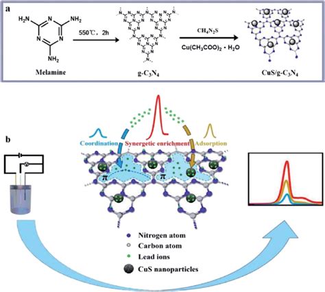 Electrochemical Detection Scheme At Mark Jennings Blog