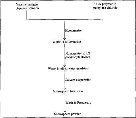 Flow Diagram Showing Preparation Of Plga Microspheres By The Double