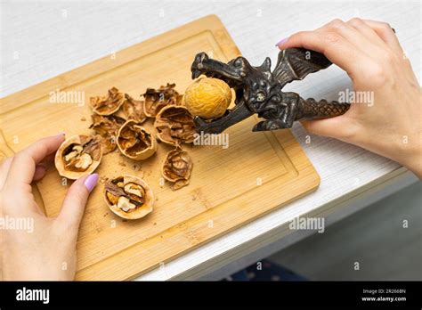 Woman Cracking Walnuts With A Hand Held Nutcracker Nut Cracker For