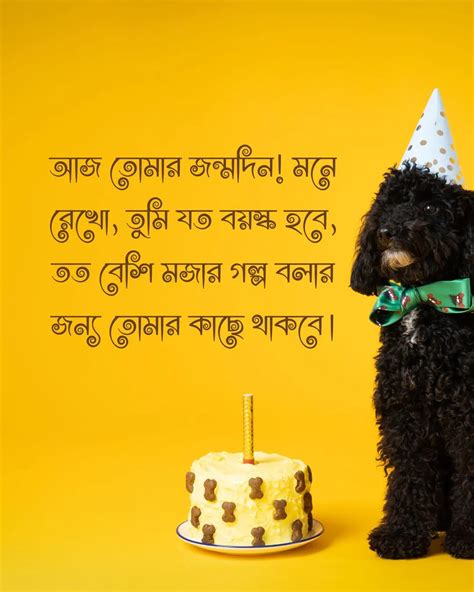 শুভ জন্মদিনের শুভেচ্ছা স্ট্যাটাস উক্তি দোয়া এসএমএস