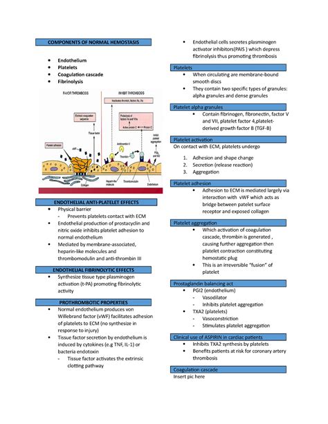 Components Of Normal Hemostasis Components Of Normal Hemostasis