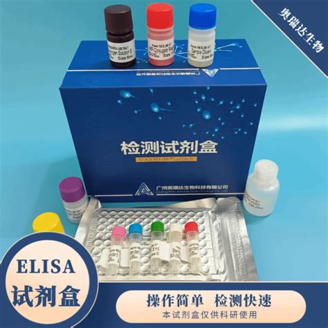 人e选择素（e Selectincd62e）检测试剂盒 广州奥瑞达生物科技有限公司