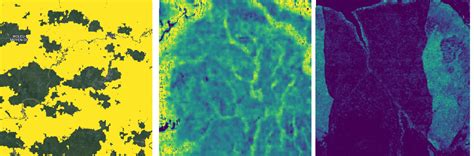 Mapping The Worlds Trees In Unprecedented Detail With Ai