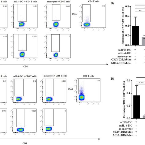 The Activation Of Cmv Antigen Specific Cd4 And Cd8 T Cells After