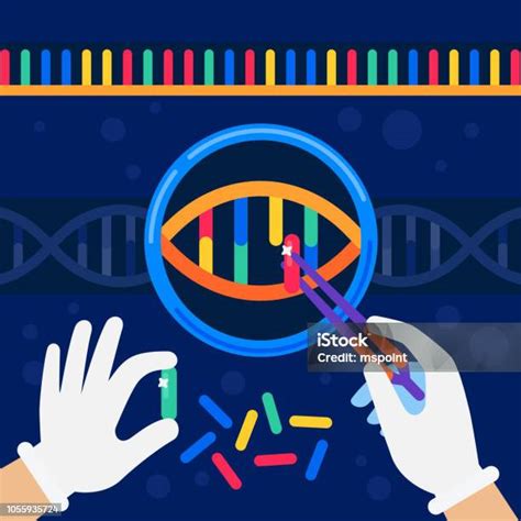 基因組測序概念納米技術和生物化學實驗室科學家用 Dna 螺旋線基因組或基因結構工作的手人類基因組專案扁平式向量插圖向量圖形及更多脫氧核糖核酸