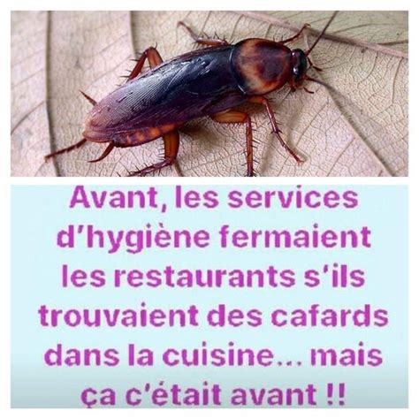 Olivier92 On Twitter Comment Tu Veux Ta Pizza Croquante