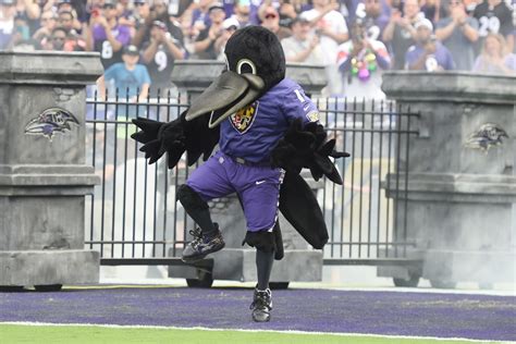 Top 10 Nfl Mascots Whiteclouds