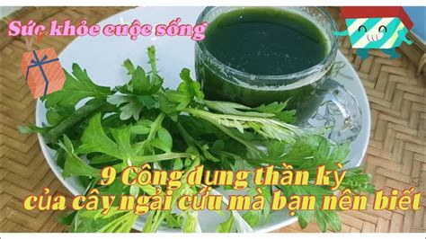 Công Dụng Tuyệt Vời Của Cây Ngải Cứu đối Với Con Người Sức Khoẻ Cuộc
