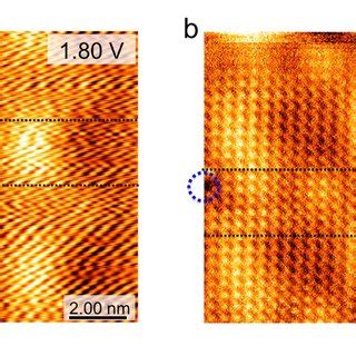 Fig S3 Contrast Correspondence Between The STM And AFM Measurements A Download Scientific