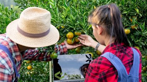 smart crop protection system using iot field intelligence