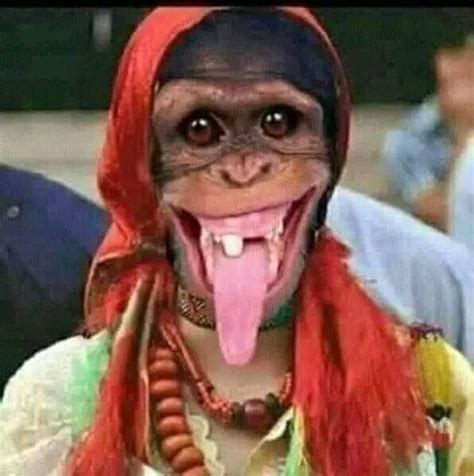 Создать мем обезьянка с накрашенными губами Картинки Meme