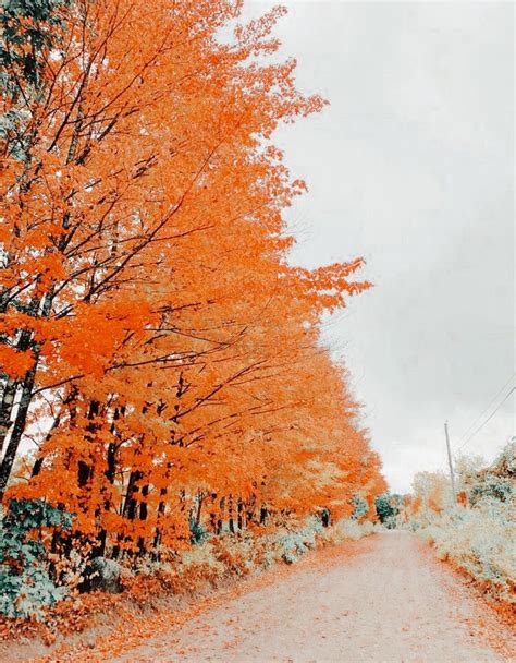 50 Gorgeous Neutral Fall Aesthetic Pictures Artofit