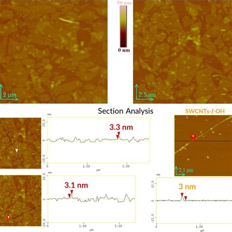 AFM Height Images Top And Cross Sectional Analysis Bottom Of The