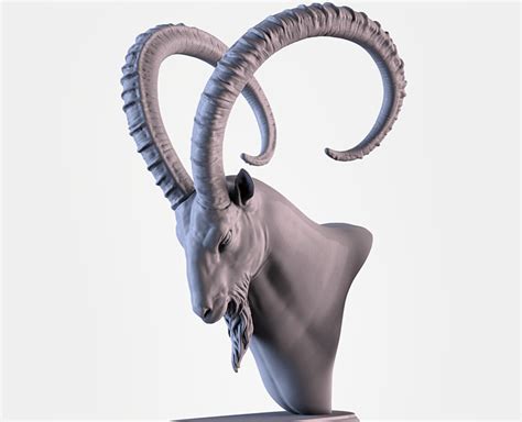 Ibex Head Flippednormals