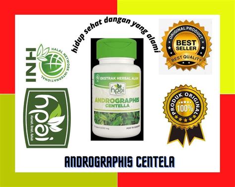 Jual Andrographis Centela Kapsul Sambiloto Kapsul Sambiloto Di Seller Herbal