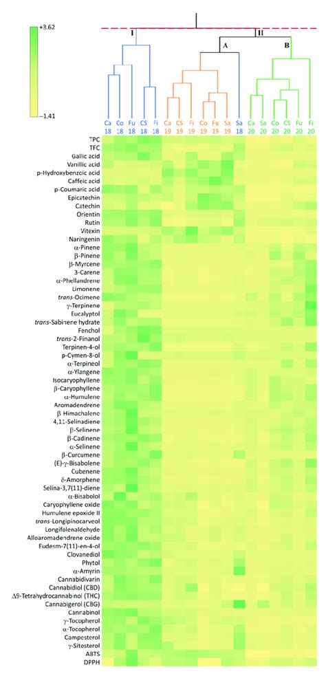 Hierarchical Cluster Analysis HCA Dendrogram Ward S Method And
