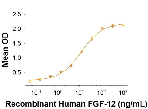 Recombinant Human Fgf 12 Protein 2246 Fg 025 Randd Systems